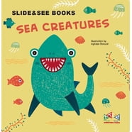 What can you see under the sea: Amazing Children Picture Book to Read ...