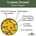Burpee Lemon Dream Sweet Pepper Vegetable Seed, 1-Pack - Walmart.com