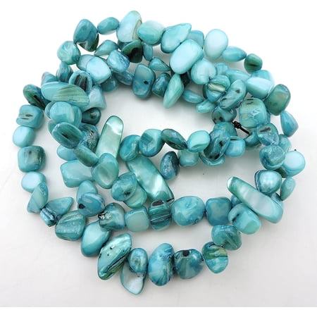 Natural White Trochus Sea Shells Hammer Shell Loose Beads 1 Strand 33 ...