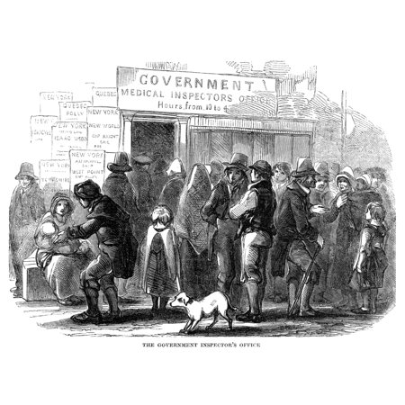 Irish Immigration, 1850. /Nirish Immigrants Waiting For Medical ...