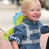 On the Goldbug 2-in-1 Toddler Child Safety Security Harness Buddy, Dino ...