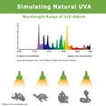 HARTOMPET Reptile Heat Lamp Bulbs 75W E26 - UVA Basking Spot Light for ...