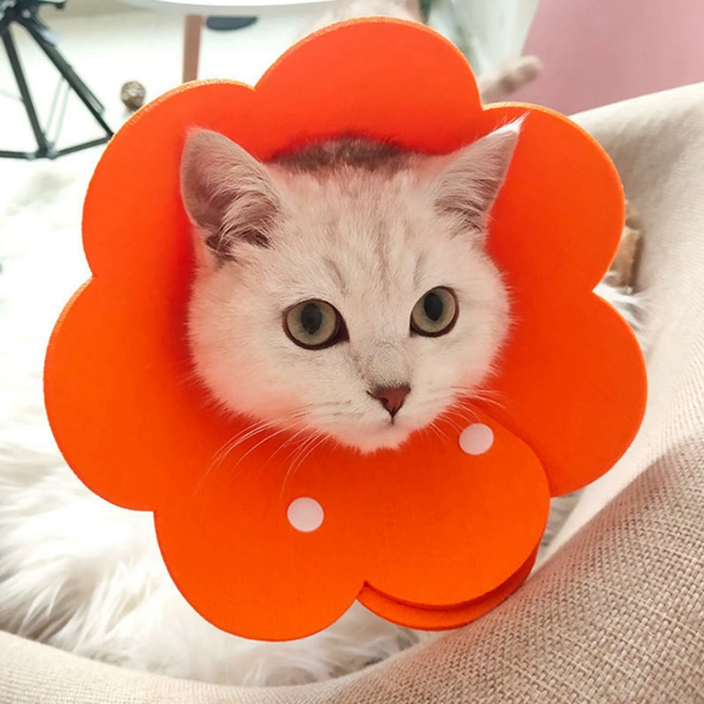 Cat Recovery Collar - Cute Flower Neck Cat Cones After Surgery ...