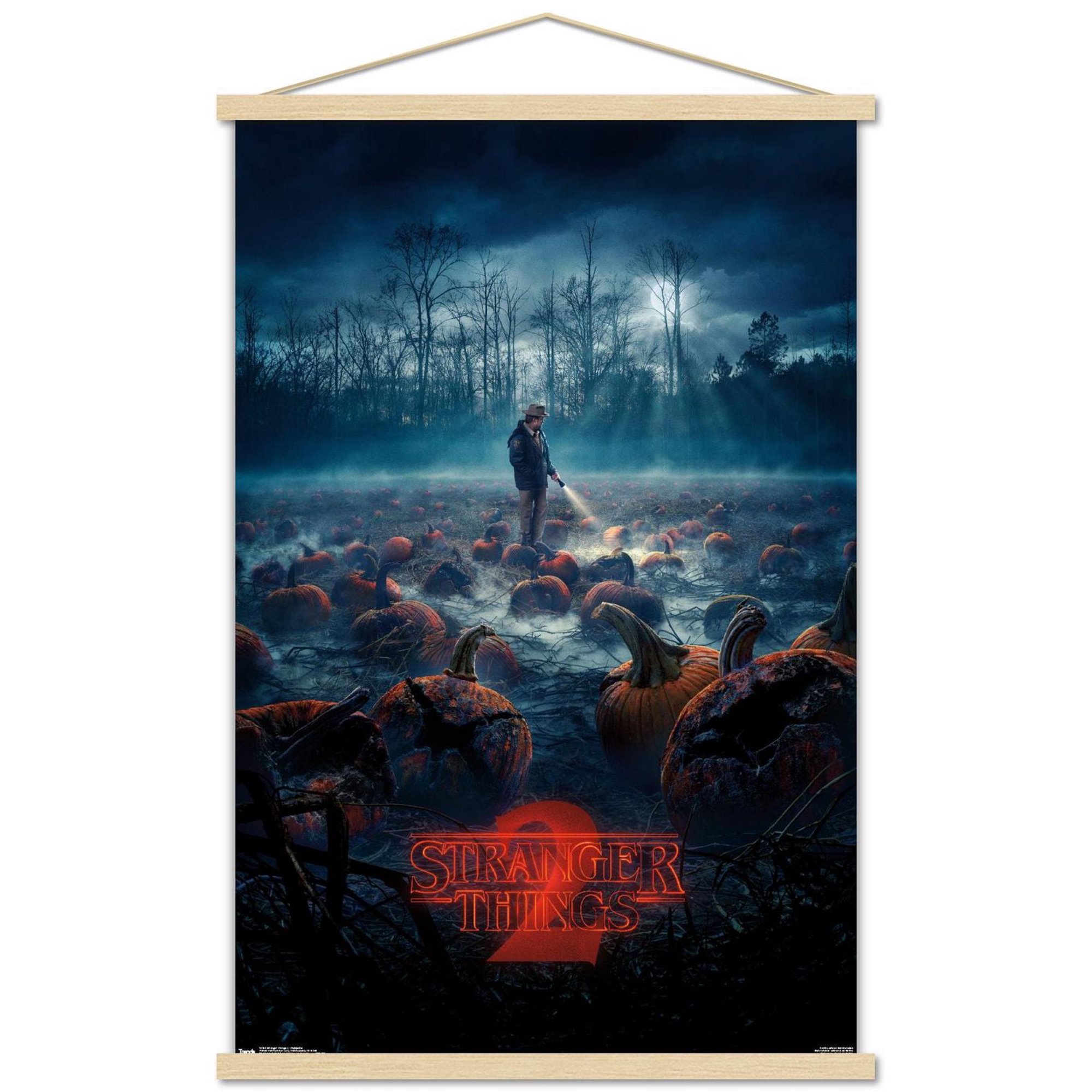 Click here for Trends International Netflix Stranger Things: Seas... prices
