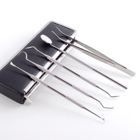 Dental Tools Dental Pick Dental Floss Stainless Steel Dental Hygiene ...