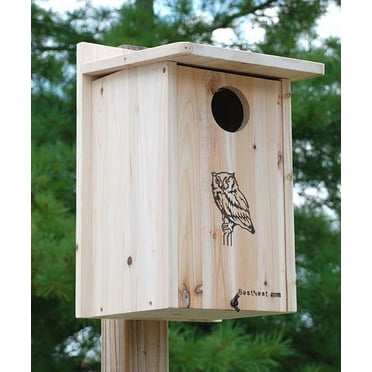 Vundahboah Amish Goods Screech Owl House Box for Nesting- Handmade in ...