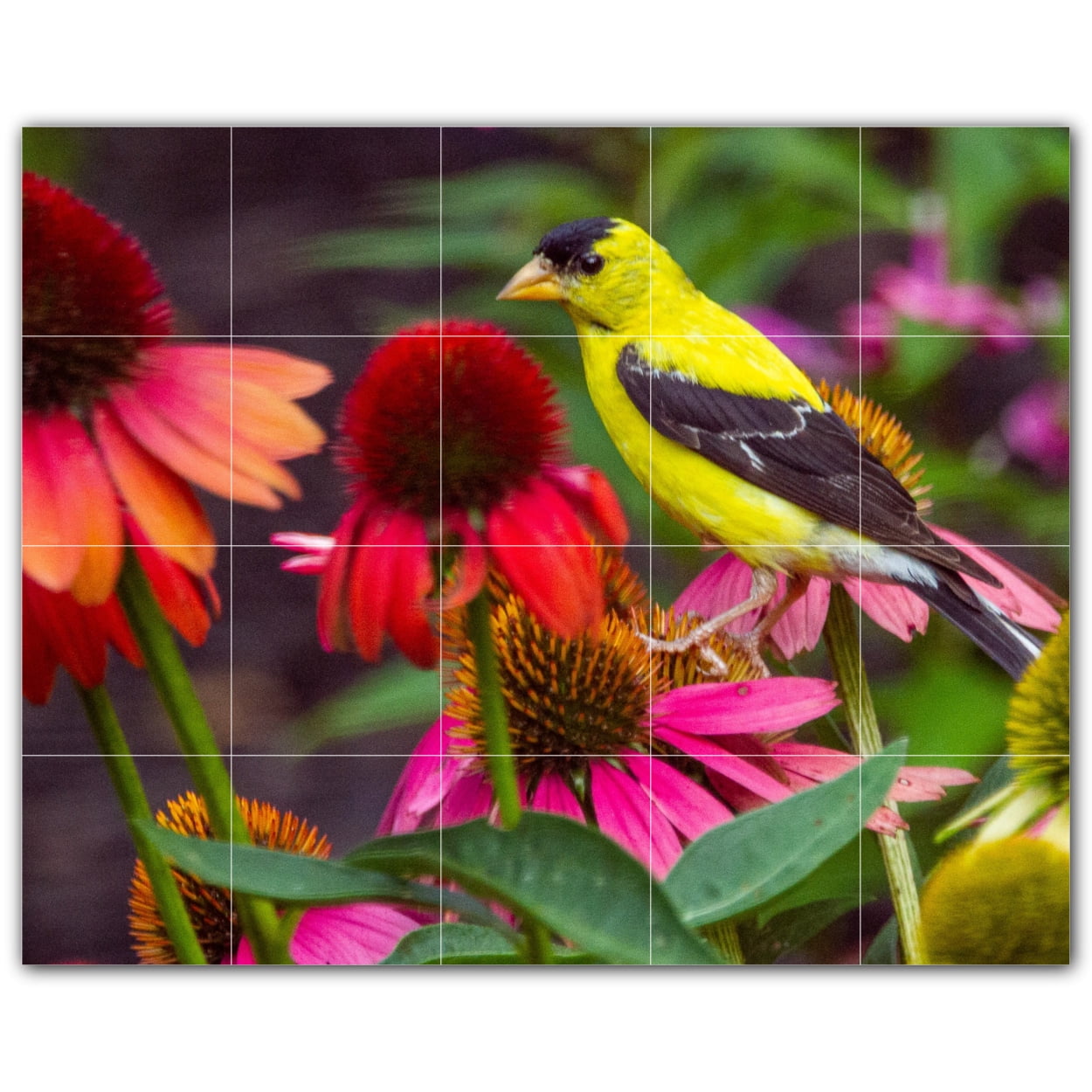 Picture-Tiles.com: Bird Ceramic Tile Wall Mural WAL500159-54XL. 60"W x ...