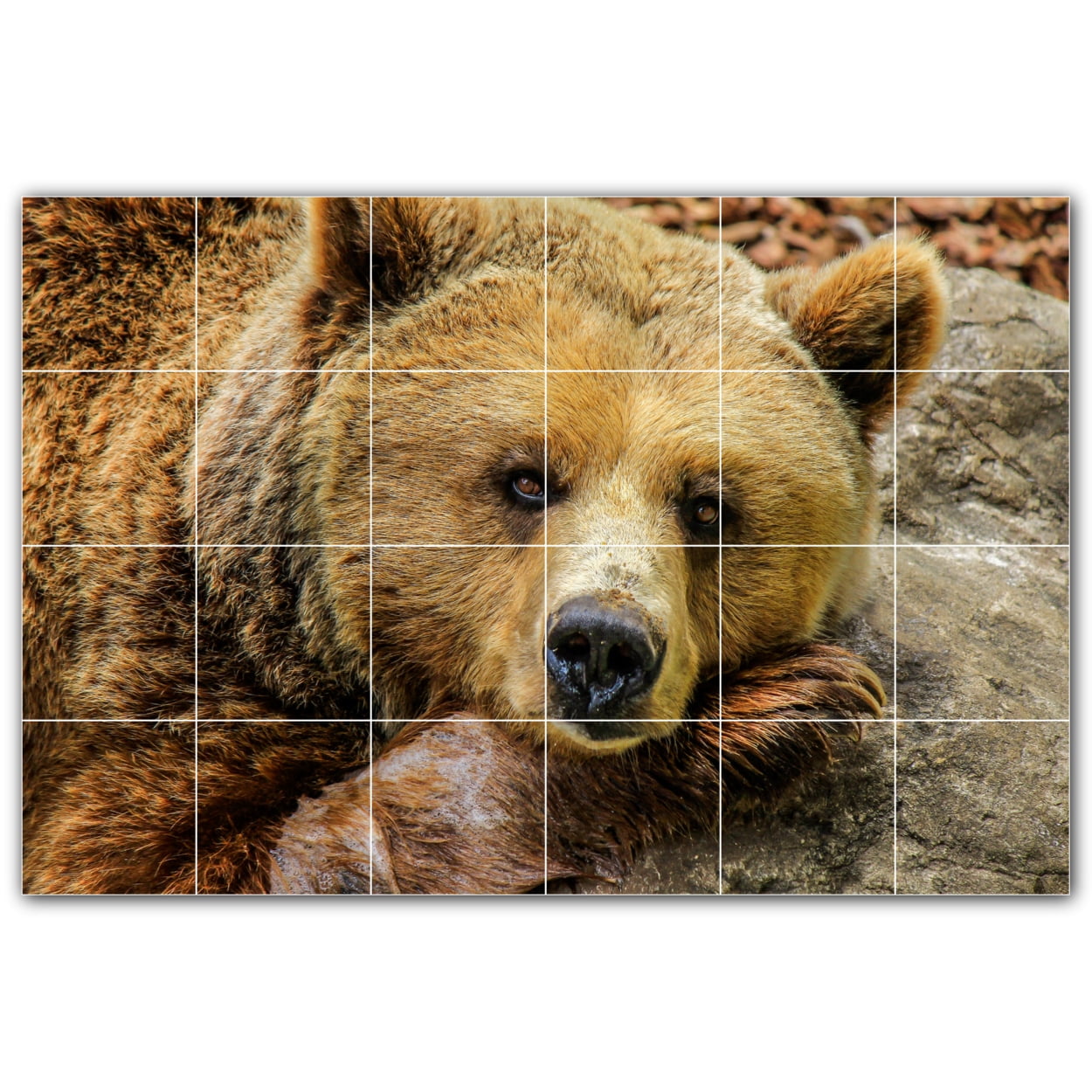 Picture-Tiles.com: Bear Ceramic Tile Wall Mural WAL500125-64L. 48"W x ...