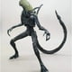 Grid Alien Figura de Acción Alienígena Xenomorfo Alienígenas vs ...