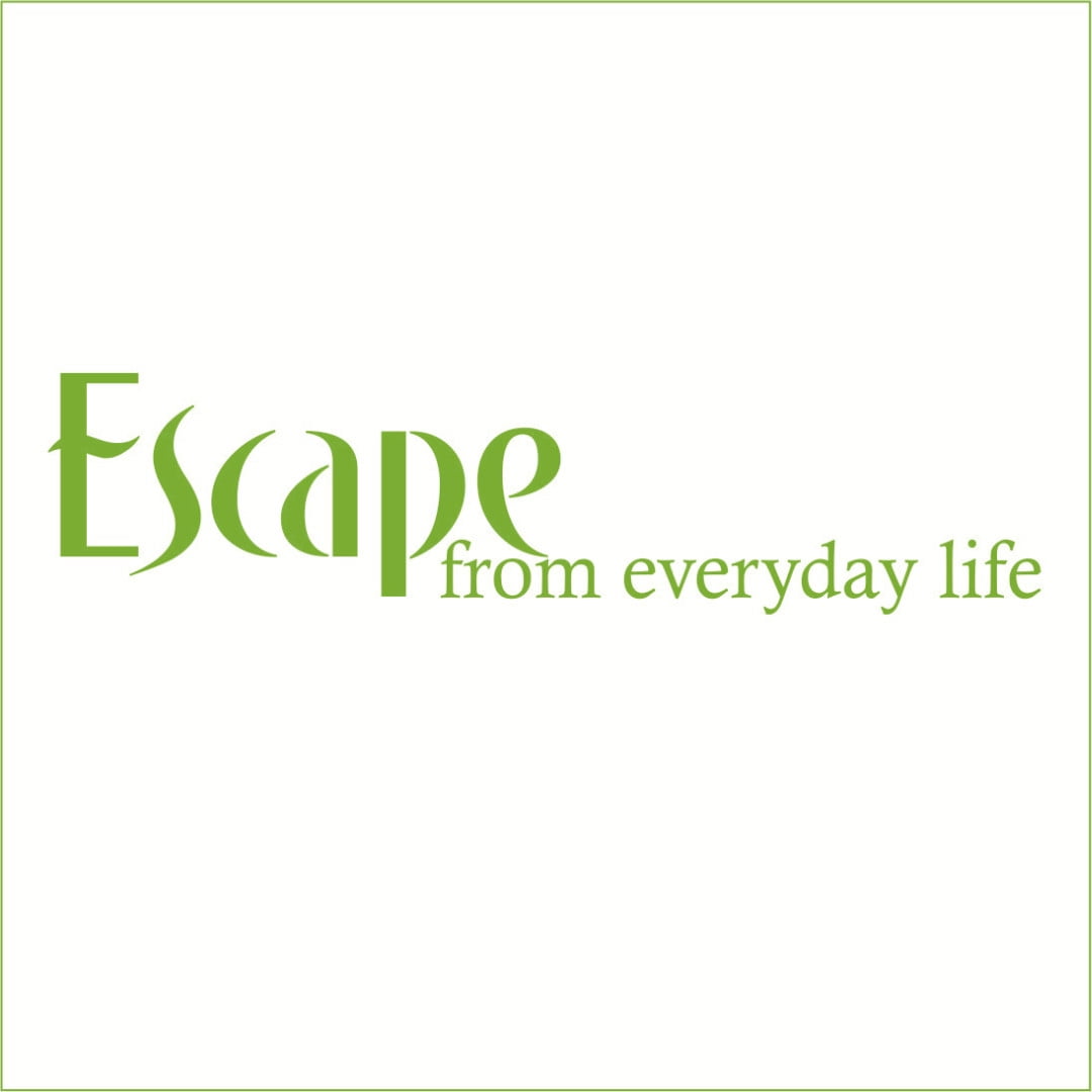 Escape From Everyday Life Vinyl Decal - Large - Green Apple - Walmart.com