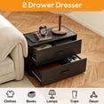 Prilinex 2-Drawer Storage Organizer, Stackable Short Closet Dresser for ...