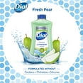 Dial Antibacterial Gentle Liquid Soap, Fresh Pear Foaming Hand Wash ...