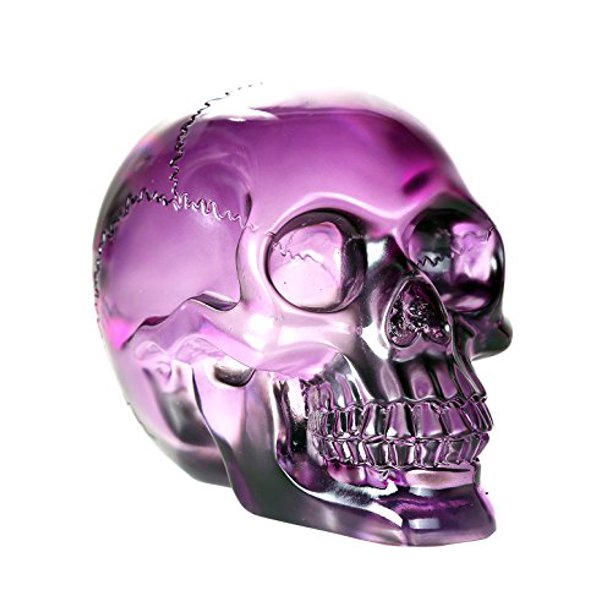 Crystal Clear Translucent Skull Collectible Figurine 4.5 Inch (Purple ...