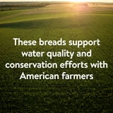 Freshness Guaranteed Garlic Bread, 16 oz - Walmart.com