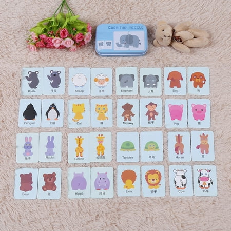 Educational Cognitive Cards, Baby Learning Cards, Eco-friendly 75x55mm ...