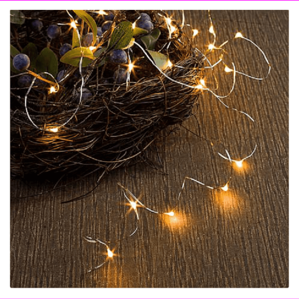 Winter Lane Indoor/Outdoor Multifunction 100' Micro LED Light String ...