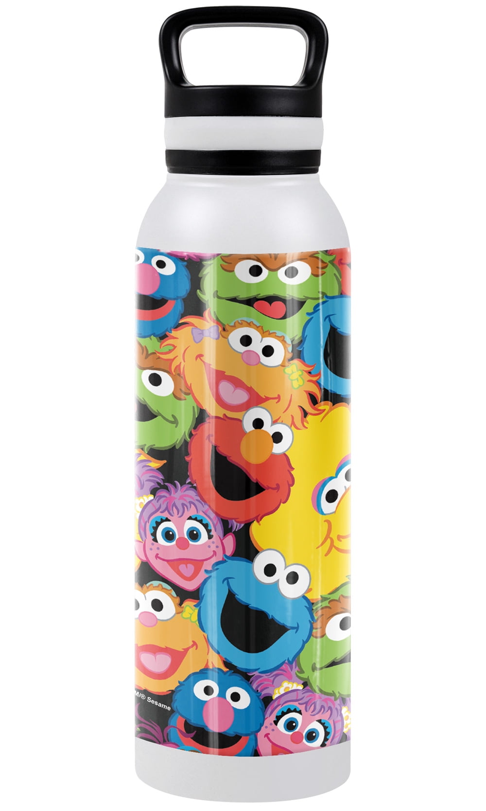 Sesame Street Official Character Head Collage 24 oz Insulated Canteen ...