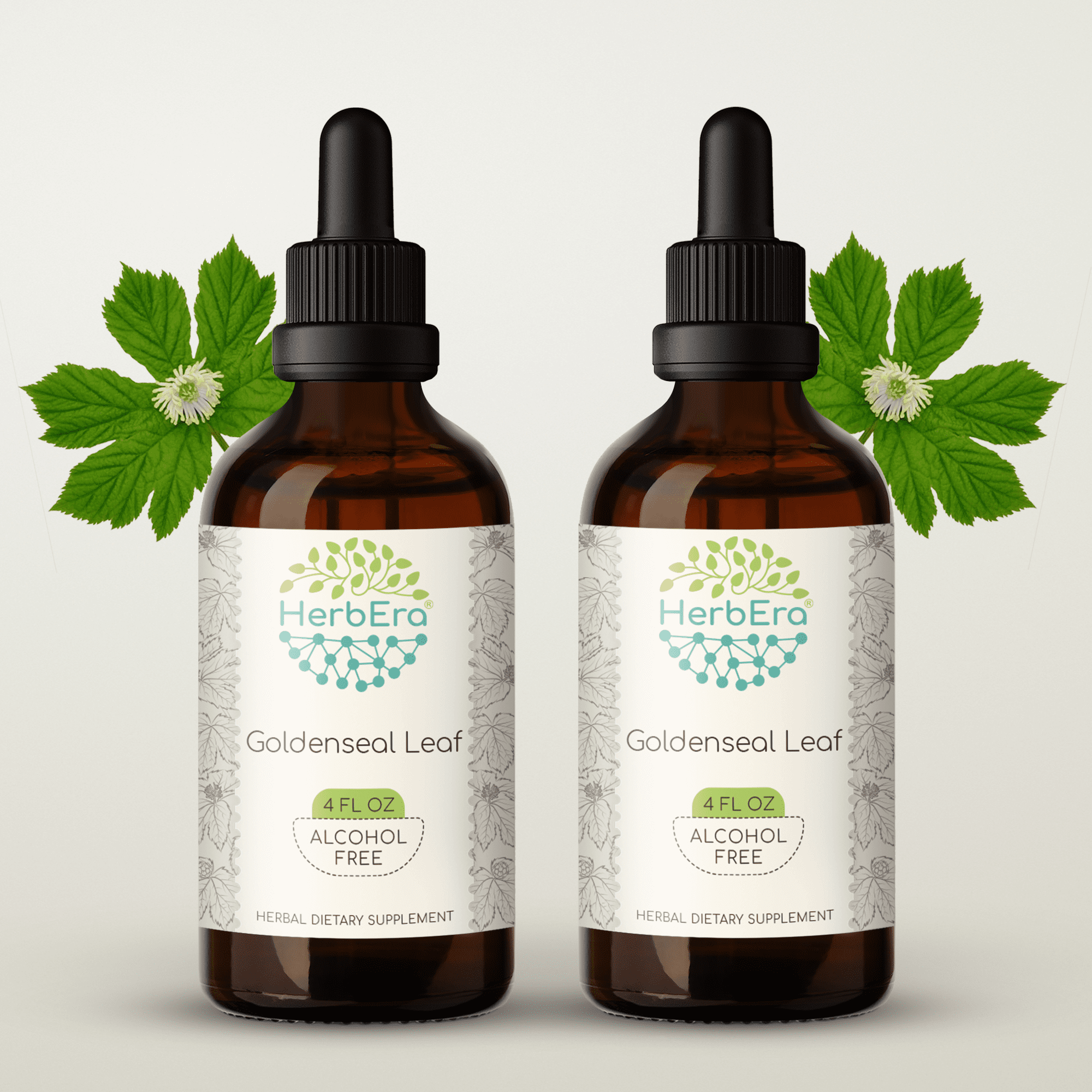 Goldenseal Leaf Alcohol-FREE Herbal Extract Tincture, Super ...