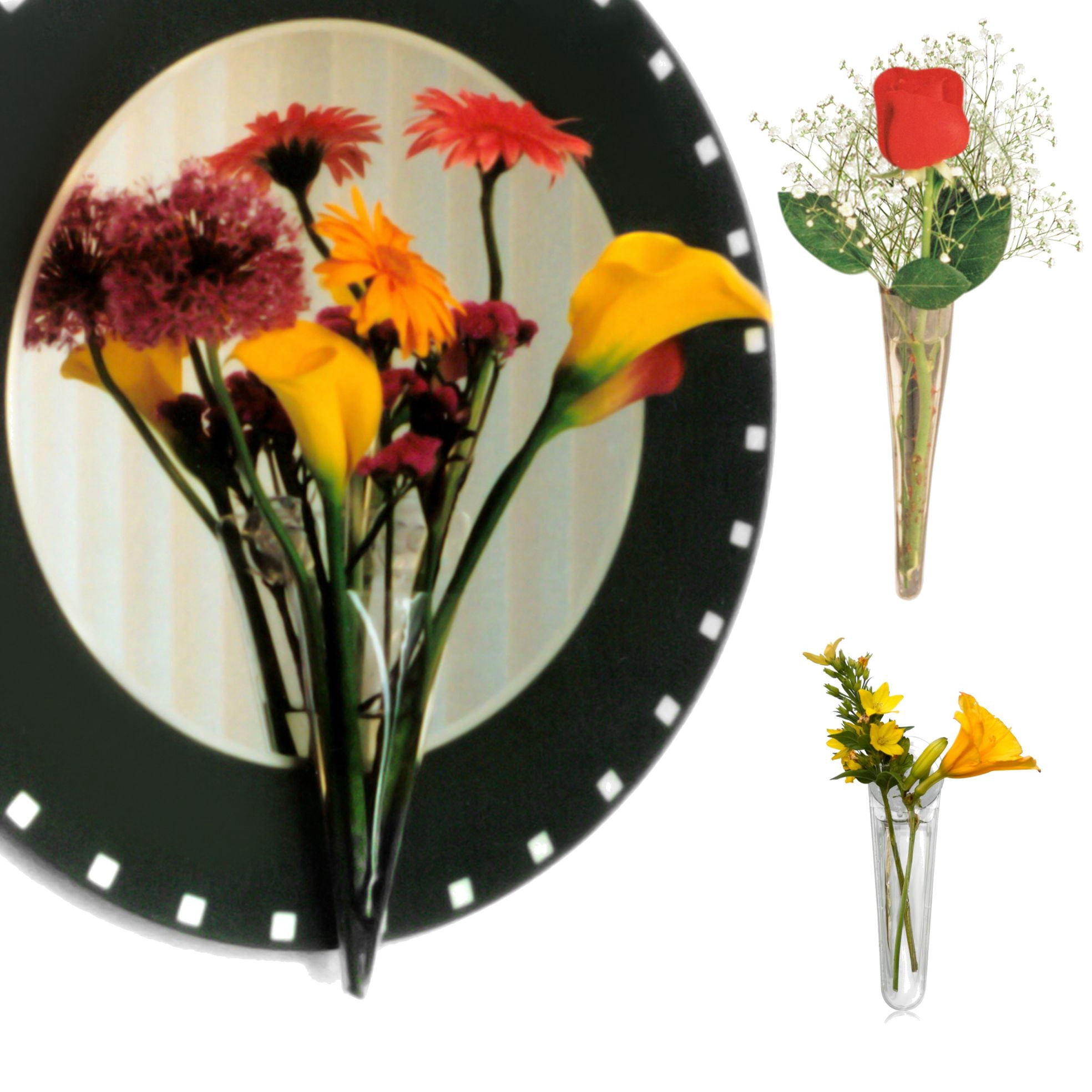 GADJIT Contemporary Series Suction Cup Window Vase 3 Pack - Walmart.com