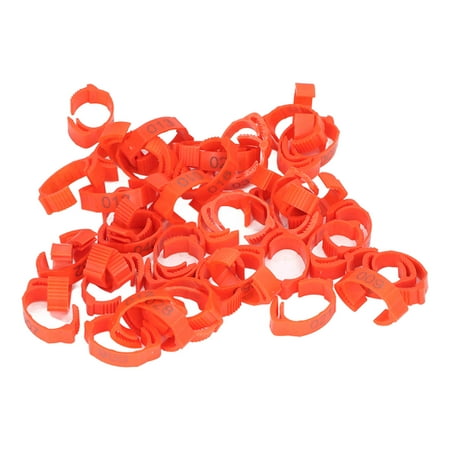 Chicken Leg Rings, Orange 50pcs Reusable Birds Identification Leg Bands ...