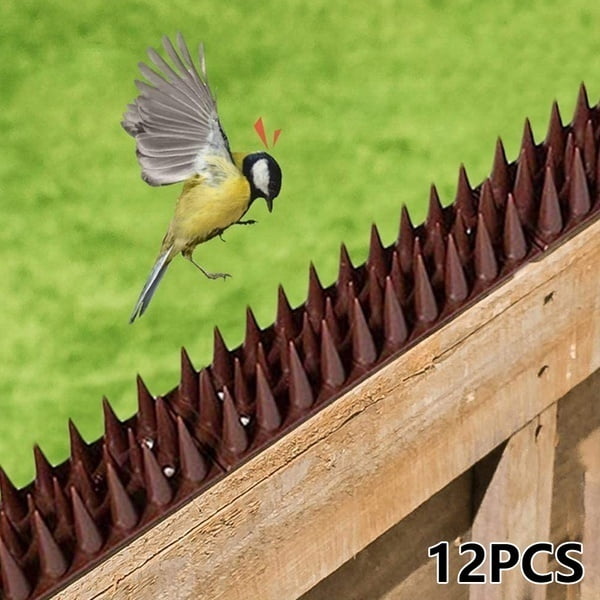 Anti Bird Spikes