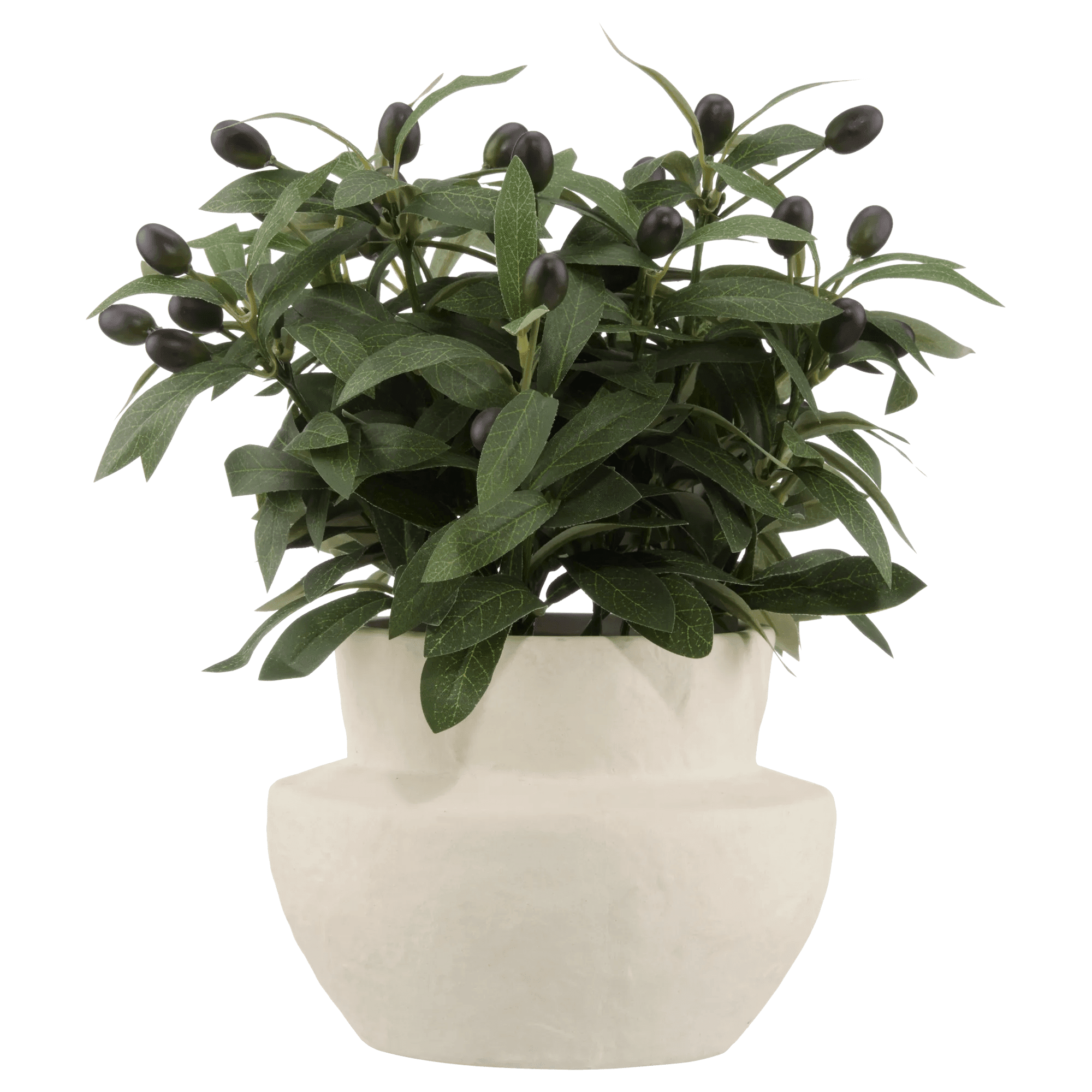 Click here for Bouclair Green Olive Plant In Ceramic Pot 9 X 11.2... prices