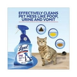 Lysol Pet Solutions –Disinfecting Cleaner, Citrus Blossom Scent, 32 FL ...