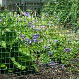 Green Plastic Garden Fence 40 in. x 25 ft. - Walmart.com