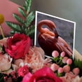 3drose, Omaha, Henry Doorly Zoo. Flamingo, Tropical Bird - Us26 Gha0034 ...