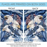 Toland Home Garden Fierce Allegiance Eagle Patriotic Flag Double Sided ...