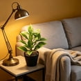 Cheapark Artificial Croton Potted Plant Home Desktop Ornament Gift ...