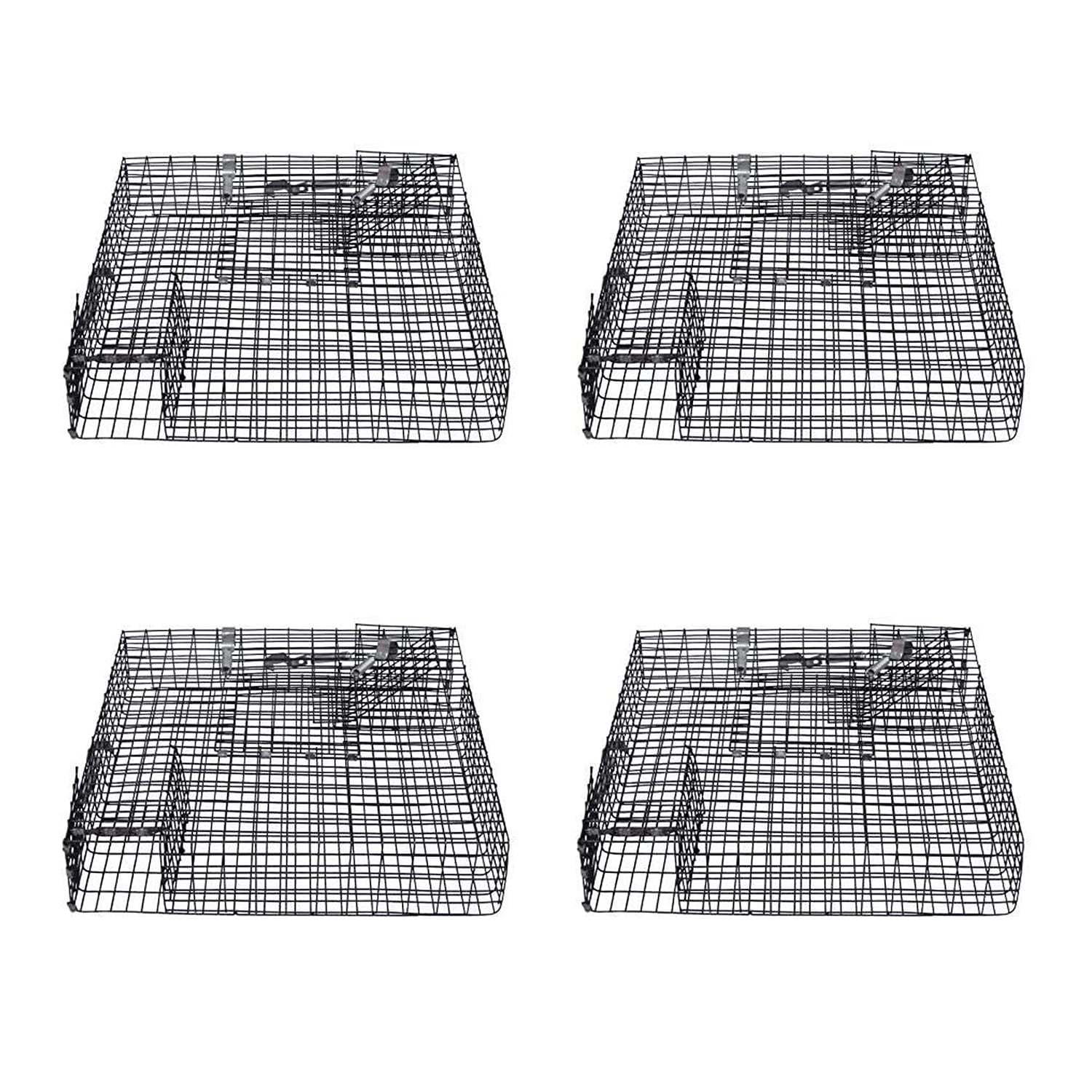 Rugged Ranch Chipmunkinator Chipmunk Squirrel Metal 2 Door Trap Cage (4 ...