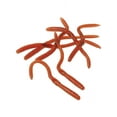Sticky Worms Assorted 12 Pack Fake Insect Bug Wall Clinger Toys ...