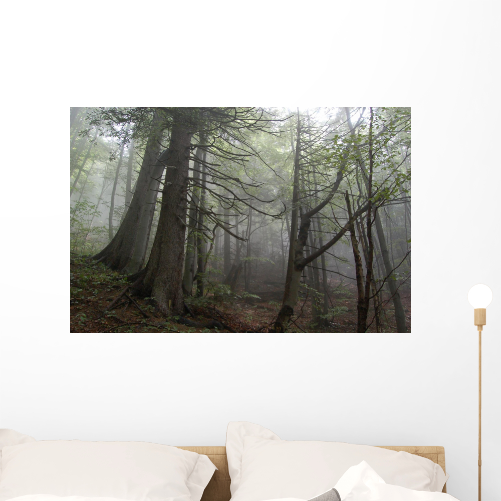 Misty Forrest Wall Mural by Wallmonkeys Peel and Stick Graphic (36 in W ...