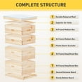 Preenex 40-Frame Beekeeping Kit, Cedar and Pinewood Bee Hive, 20 Deep ...
