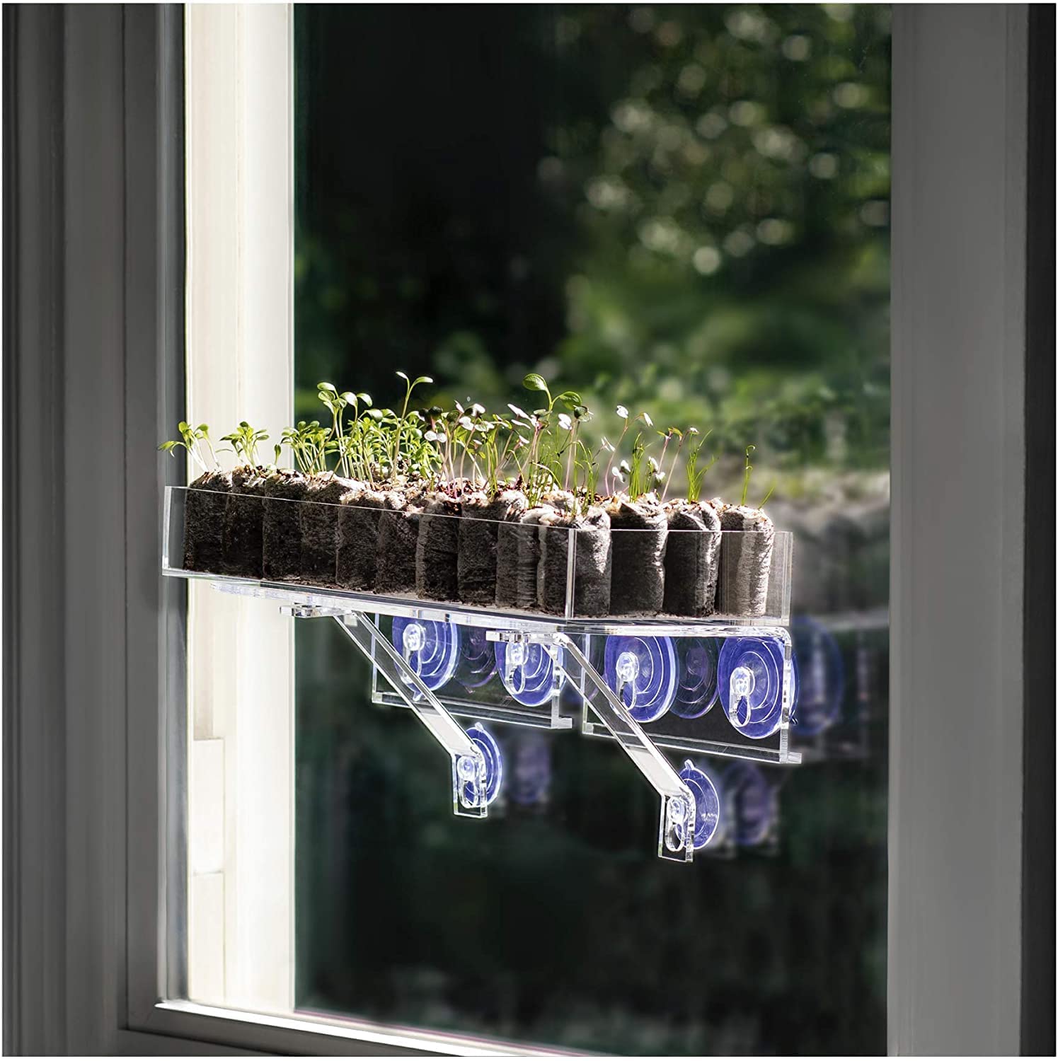 Window Plant Shelf Microgreens Kit - Acrylic Window Ledge Shelf for ...