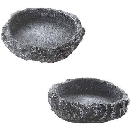 Water Dish Food Bowl Rocks Lizard Feeder Stone Worm Feeder Reptile ...