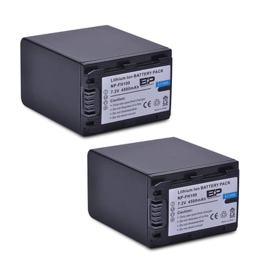 BP 2-Pack of NP-FV100 Batteries for Sony FDR-AX53 HDR-CX330 HDR-CX380 ...