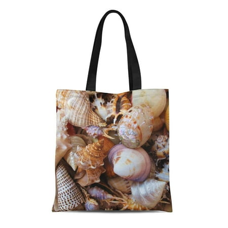 HATIART Canvas Tote Bag Seashells Mediterranean Sea Shells Beach Photos ...