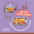 Purina Friskies Extra Chunky Gravy, Soft Turkey, Wet Cat Food, 5.5 oz ...