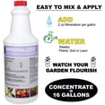 GGO Mineralizer- Fertilizer & Micro-Nutrients- 32 fl oz Complete ...