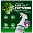 Gnat Spray for Indoor Plants – Fungus Gnat Killer & Houseplant Insect ...
