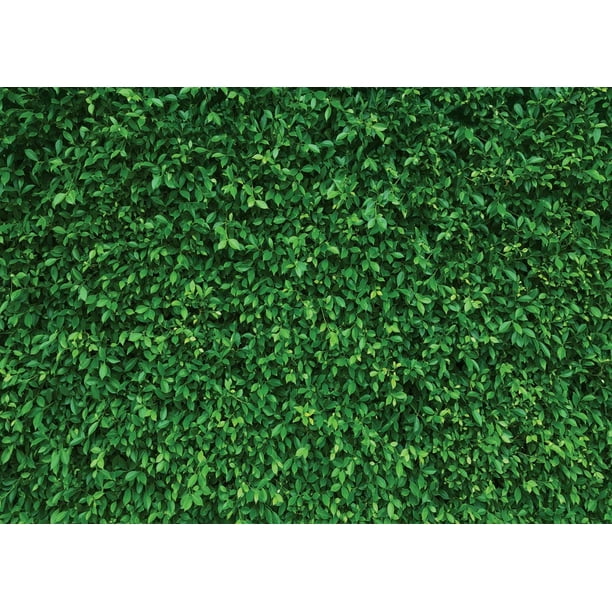 Greenery Photography Backdrops Mmicrofiber Nature Backdrop Birthday ...