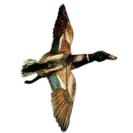 Jackite Mallard Duck Drake Kite, 32" Wingspan | Walmart Canada