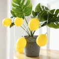 10LED Yellow Lemon Fruit String Lights - Battery Operated Indoor ...
