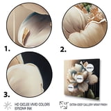 Designart Cream White Flower Canvas Wall Art - Walmart.com