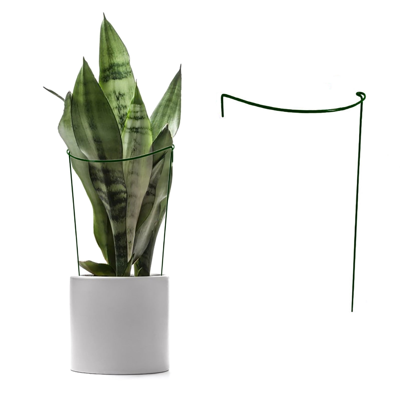 Plant Support Stake Gardening Stand Bracket Plastic Coated Flower ...