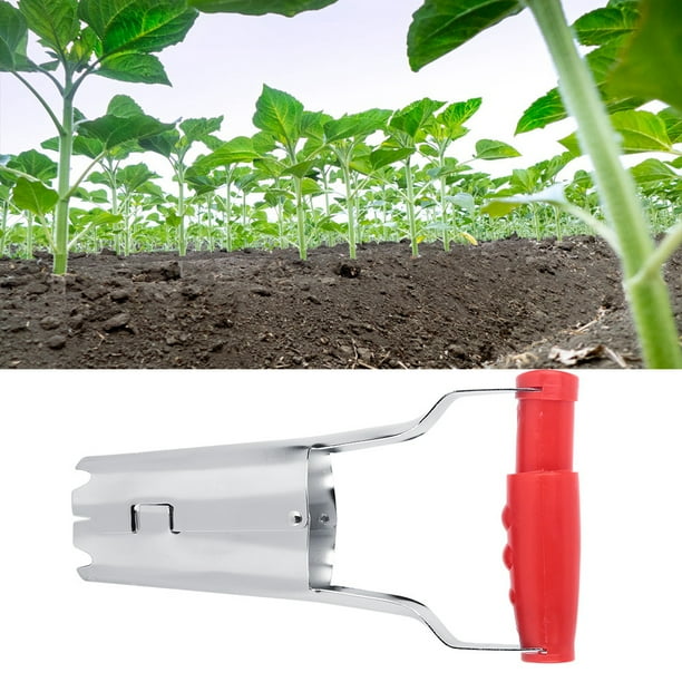 Vegetable And Flower,Garden Agricultural Seedling Tube Seedling ...