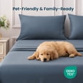 SLEEP ZONE 85gsm Bed Sheet Set, Microfiber Wrinkle-free Bedding set ...