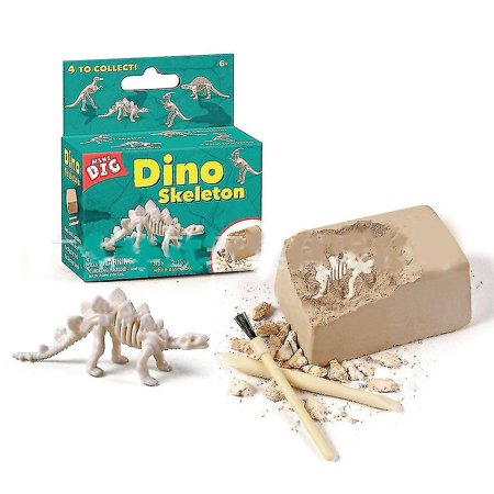 Dino Skeleton Archeology Biology Digging And Excavation Science Kits ...